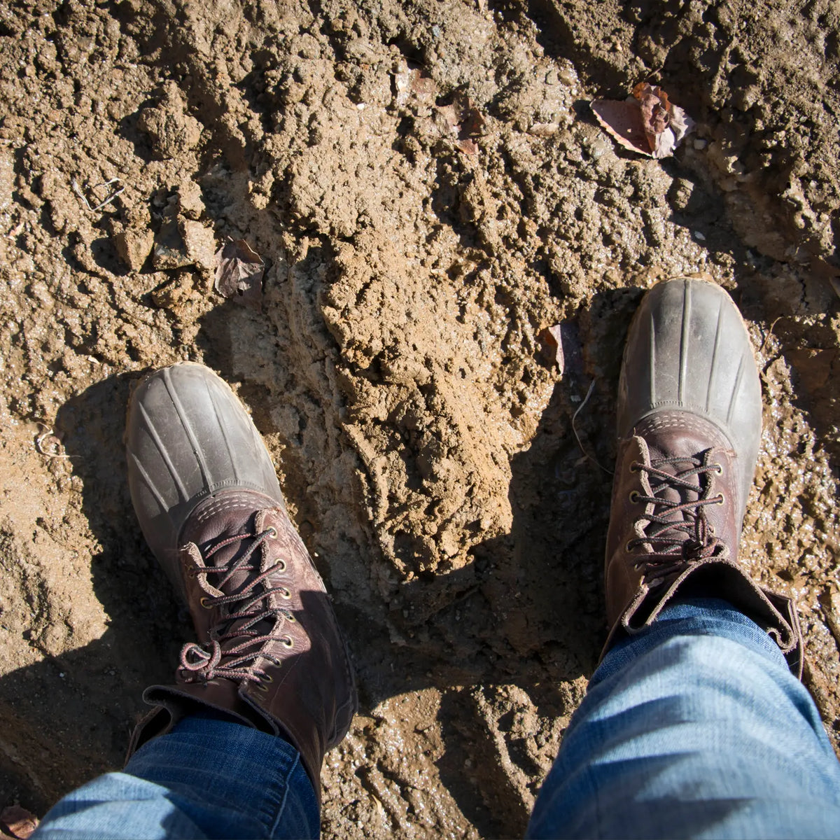 Maine's Mud Season: A Quagmire of Tradition and Transition — Rogue Life ...